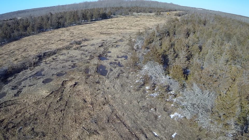 Victory! Turtle Power Rules! | Mothers Against Wind Turbines Inc.