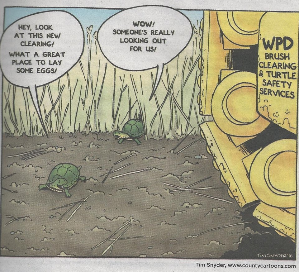 Victory! Turtle Power Rules! | Mothers Against Wind Turbines Inc.